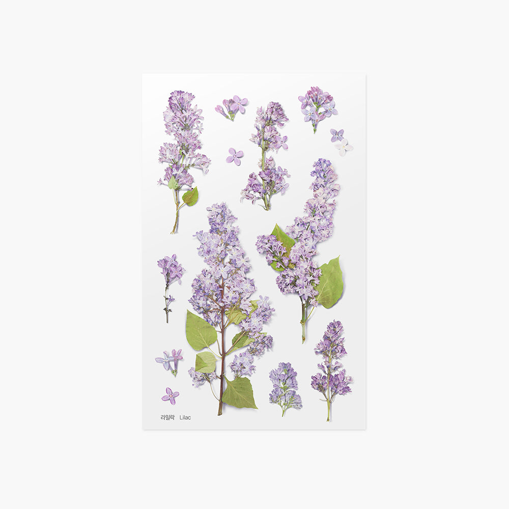 Appree Pressed Flower Sticker | Lilac – chub.my